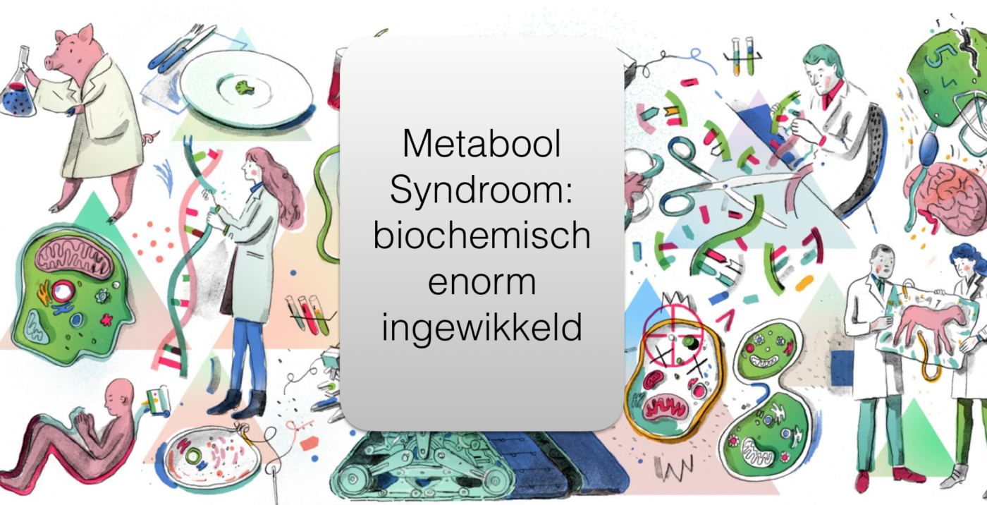 Het metabole syndroom en ontsteking | Instituut voor Neuropathische Pijn